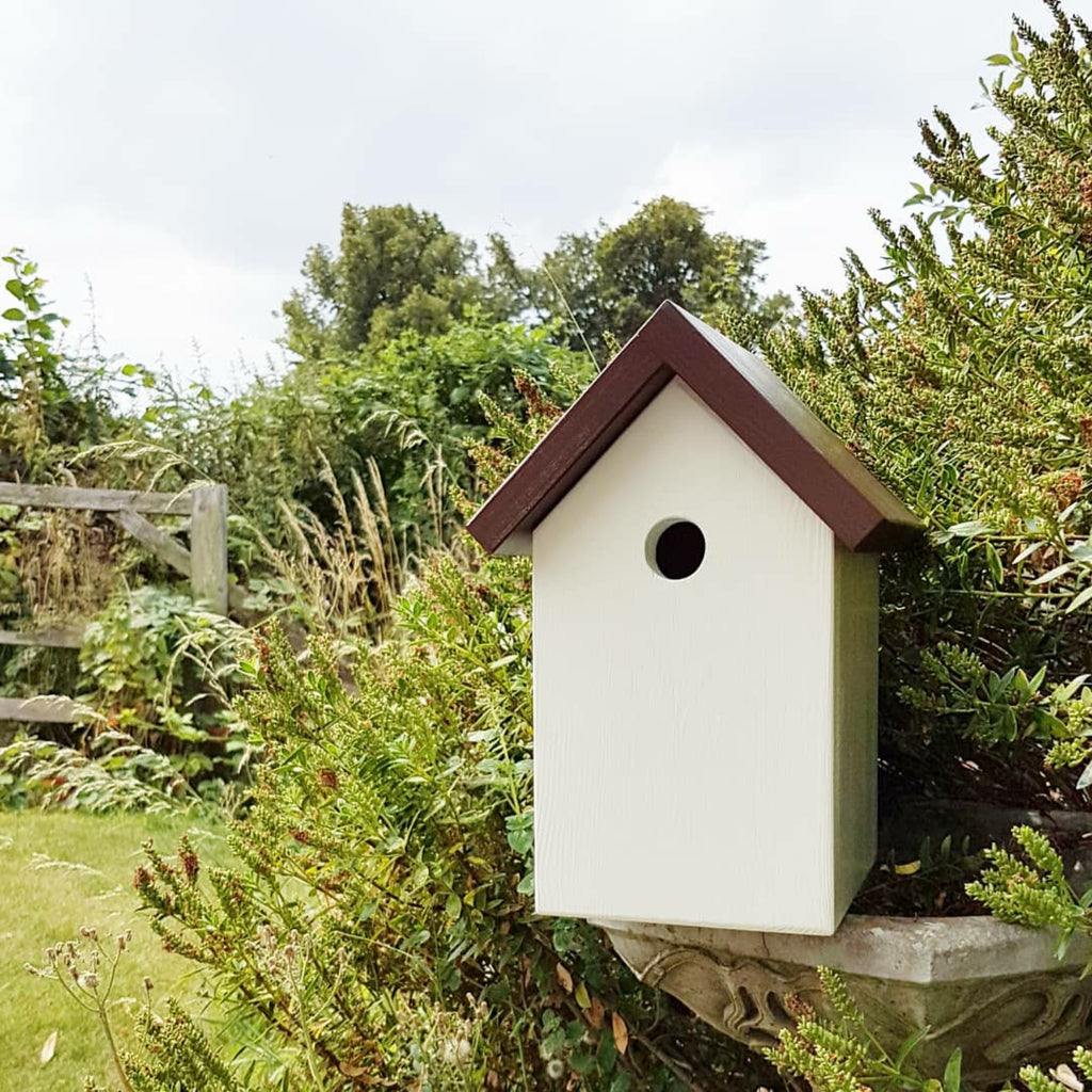 Handcrafted Simply Colour Bird Box - Contemporary Garden Gift – Lindleywood