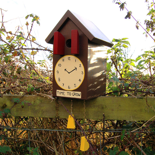 Cuckoo Clock Bird Box - Unusual Birthday Gift - Unique Christmas Gift ...